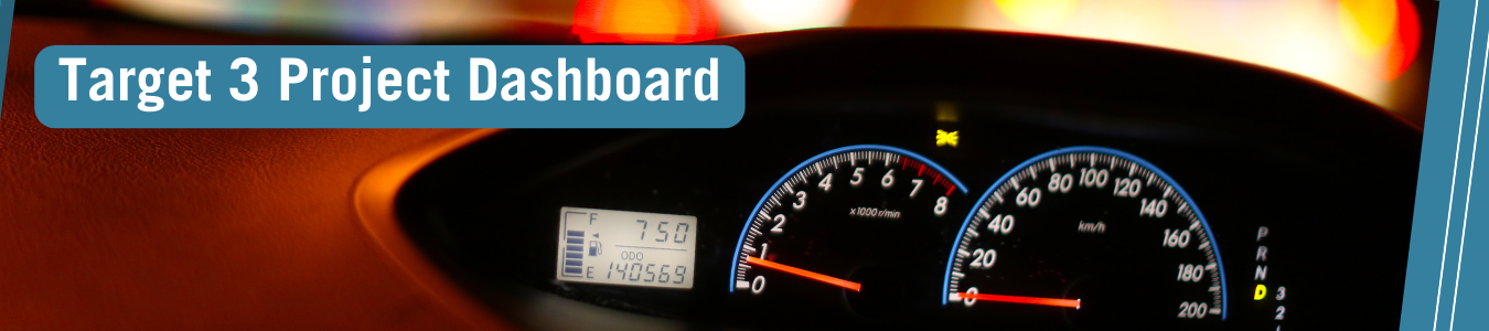 Target 3 Project Dashboard - iRAP