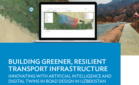 iRAP - International Road Assessment Programme