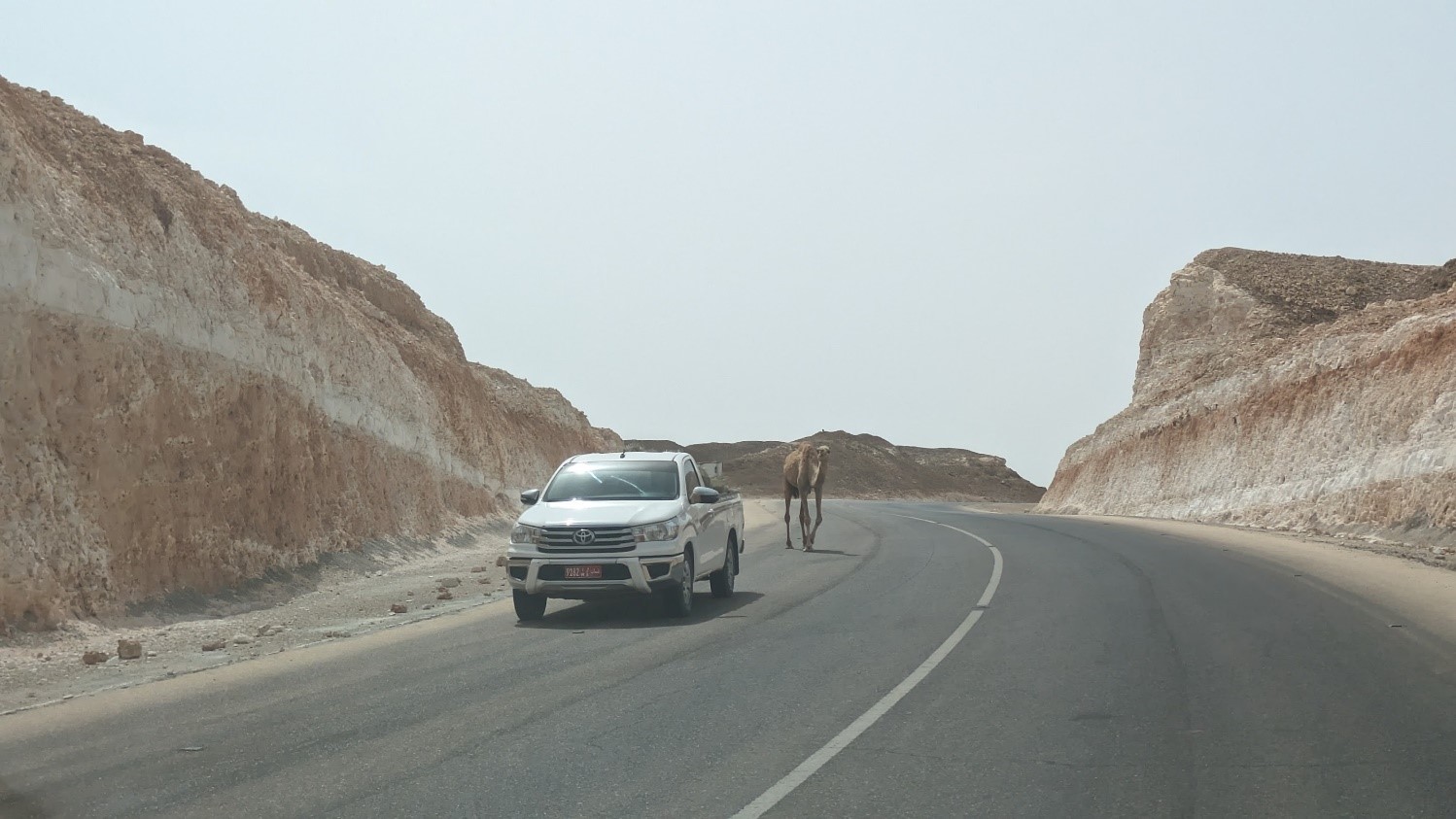 First iRAP Assessment in Oman - iRAP